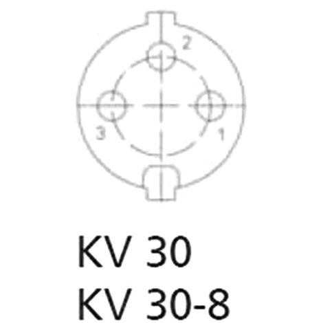 Lumberg KV 30 DIN-Rundsteckverbinder Buchse, gerade Polzahl: 3 Silber 1 St.