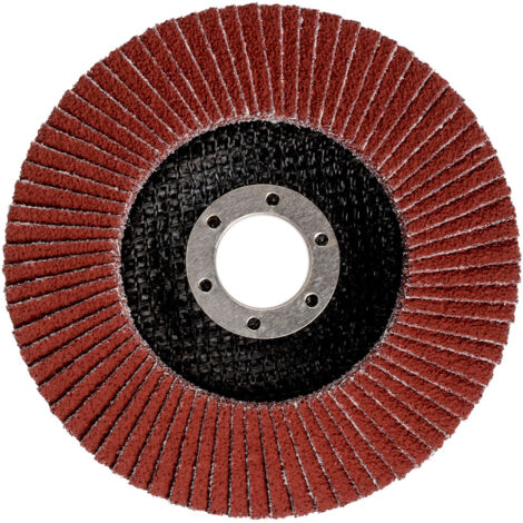 3m 51482 Fächerschleifscheibe Durchmesser 125 Mm Bohrungs ø 22 Mm 10 St