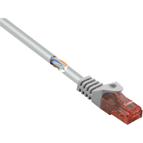 Renkforce RF-5047426 RJ45 Netzwerkkabel, Patchkabel CAT 6 U/UTP 0.15 m Grau mit Rastnasenschutz, Hal