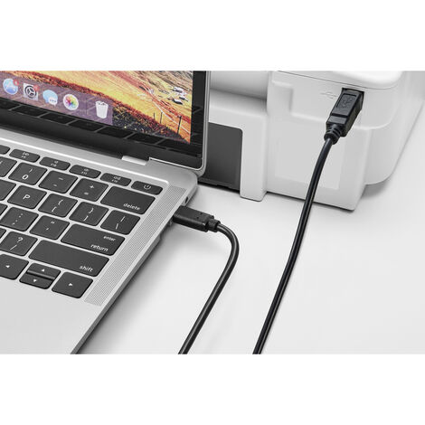 Renkforce USB-Kabel USB 2.0 USB-C® Stecker, USB-B Stecker 2.00 m ...