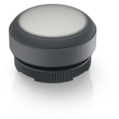 RAFI 1.30.270.005/2201 E-BOX IO-LINK Leuchtdrucktaster tastend (L x B x ...