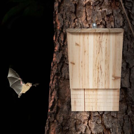 Slanted bat box