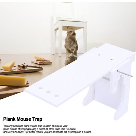 DIY Mouse Trap Mouse Mice Rodent Trap Seesaw Auto Reset Bait Catcher