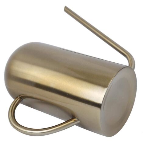 Acier Inoxydable Long Bec Arrosoir Jardin Arrosoir Irrigation Outil Or ...