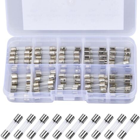 Sollbry 100 Pcs Fusible Verre à Fusion Rapide, 5 x 20mm 250V Assortiment de Fusibles Verre 0.2A ...