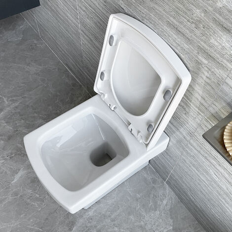 BTW Square Toilet Back To Wall Ceramic Pan Cloakroom Soft Close Seat ...