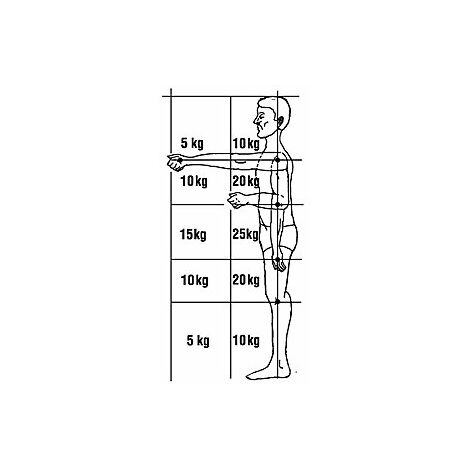 Minimontacargas NEWTON 150 carga máx 150 kg