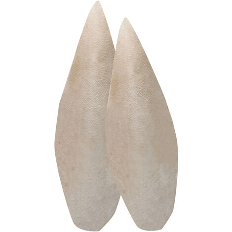 Hobby Sepia Bone Sepiaschale zur Nahrungsergänzung - 2 Stück