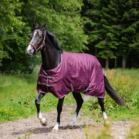 Horse Guard Turnout Pferdedecke Landon, 120D, 0 g - pflaume - 135 cm
