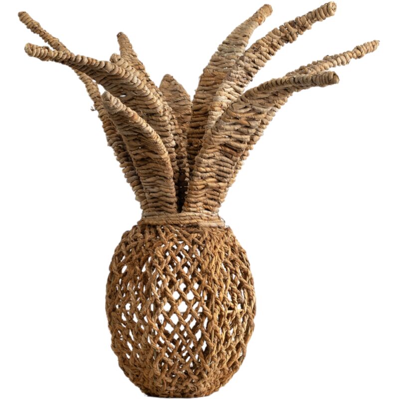 Ananas à peau de banane