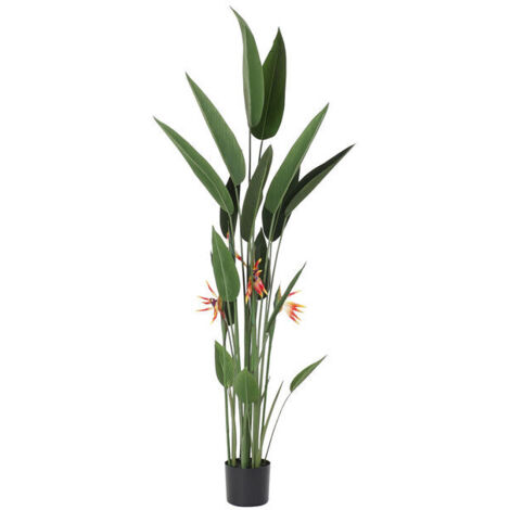 Plante Polyester Pp 75X75X180 Vert