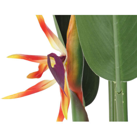 Plante Polyester Pp 75X75X180 Vert