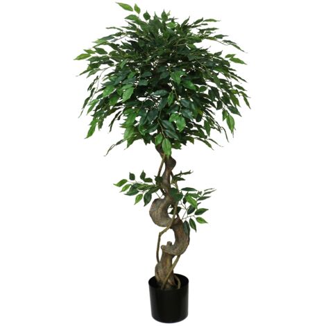 Plante Ficus Benjamin 120 cm. 120 cm