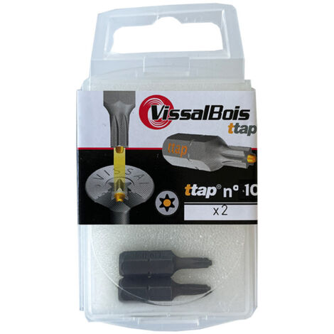 2 embouts TTAP n°10 acier - Vissal