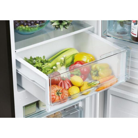 Refrigerateur - Frigo CANDY - CCT3L517FB - combiné 260 L (186 + 74 ...