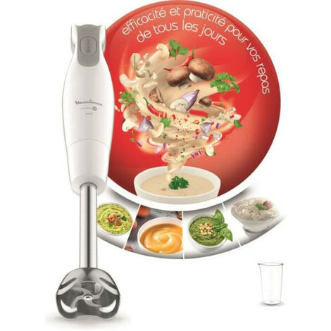 Mixeur Electrique MOULINEX Daily chef plongeant, 600 W, 2 vitesses ...