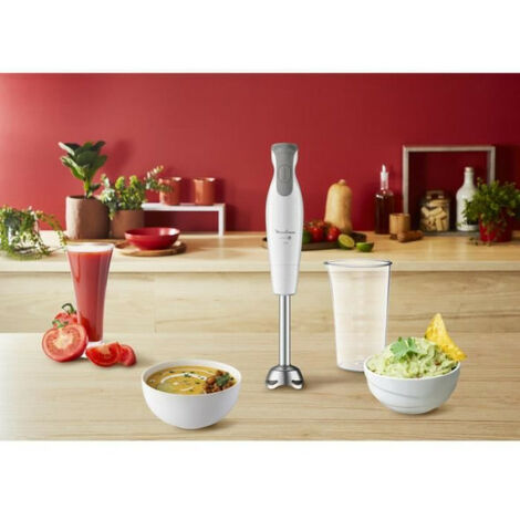 Mixeur Electrique MOULINEX Daily chef plongeant, 600 W, 2 vitesses ...