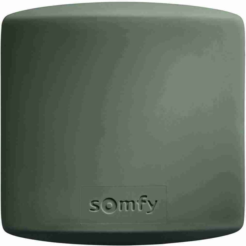 recepteur acces - compatible io - somfy 1841229