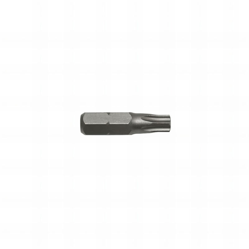 10 embouts Torx T15 long 25mm - T20