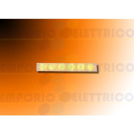 cardin lampeggiatore elettronico led giallo 24v wall