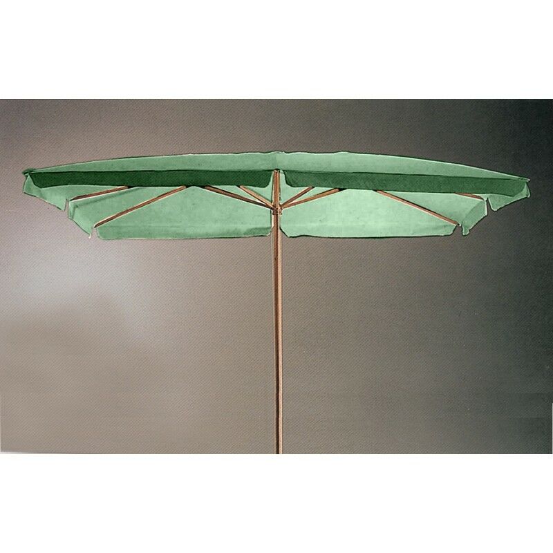 Parasol de jardin en bois 200 x 300 cm vert