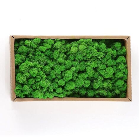 Mousse de Mousse, Coussin de Mousse de Mousse Durable Décoration Verte ...