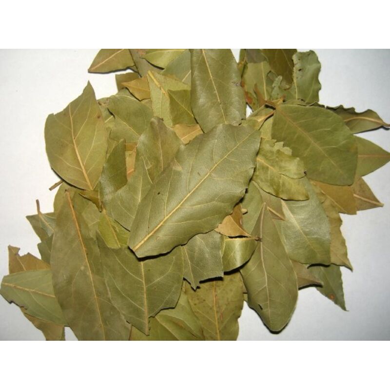 Laurier noble fruit de laurier 100 g