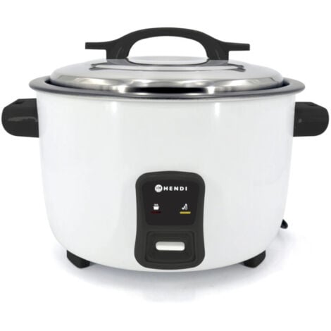 Marmite cuiseur à riz pour la cuisson du riz et des gruaux 1550W 4,2L