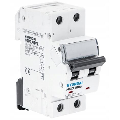 HYUNDAI HGD - INTERRUPTEUR DE SURINTENSITÉ 2P, 6KA, 2A, CHAR. B