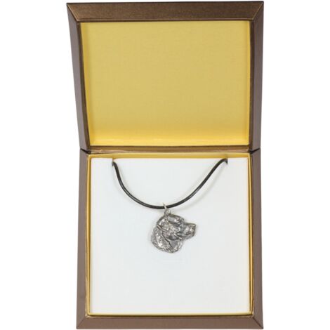 Labrador Retriever - un collier avec un chien dans une boîte cadeau, un ...