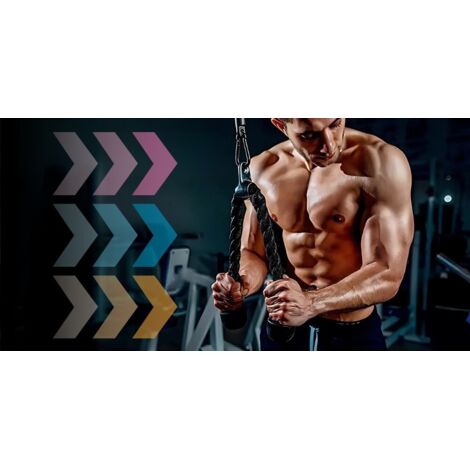 Poulie supérieure inférieure pour exercices mur-plafond, grip, corde ...