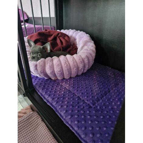 Tapis pour cage à cochon d'Inde ou lapin 80x50 imperméable beige