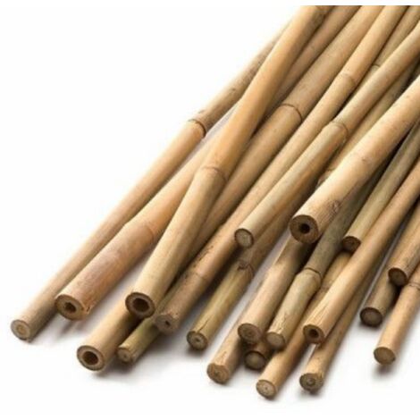 Tige de bambou BioBamboo Stick 30 cm 22-30 mm bambou