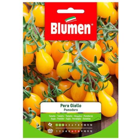 Semi Di Pomodoro Pera Giallo In Busta