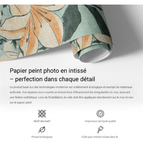 Papier peint panoramique intissé Nature mystique 312x219cm salon ...