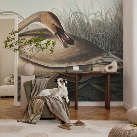 Revêtement mural panoramique oiseau style contemporain pour salon ...