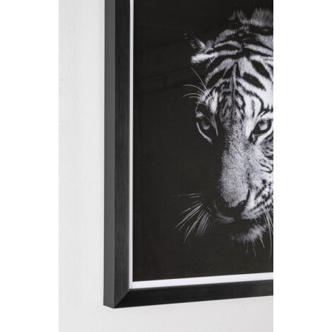 Cadre C-C Evidence 105 43X43