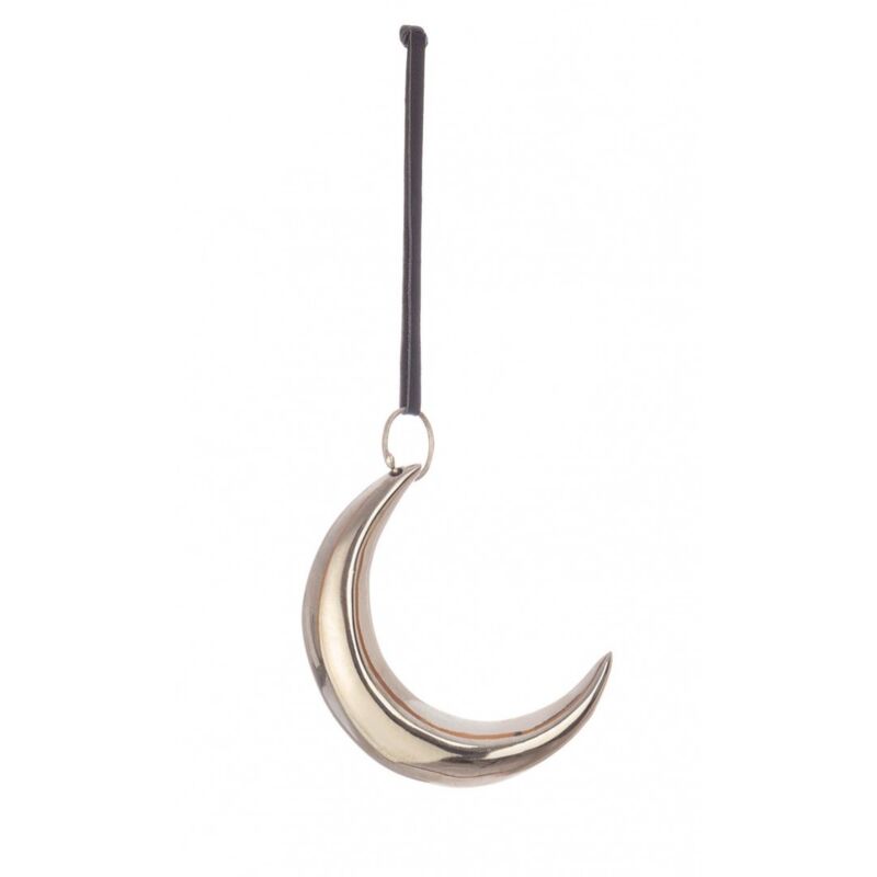 Eleganter Silberhänger Shannon Luna 12x9H