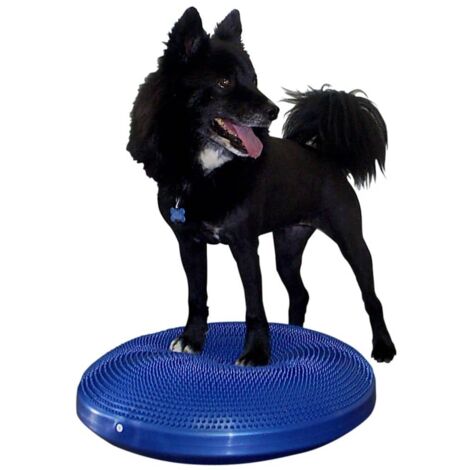 Pet Balance Disc 56 cm Blue FitPAWS