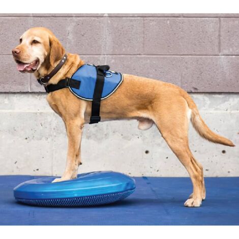 Pet Balance Disc 36 cm Blue FitPAWS