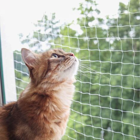 Cat Safety Net 4x3 m Transparent Kerbl