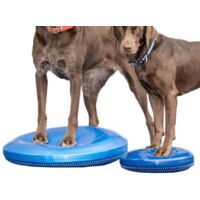 Pet Balance Disc 56 cm Blue FitPAWS