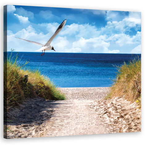 Bild auf Leinwand, Weg zum Strand und Möwe - 60x60