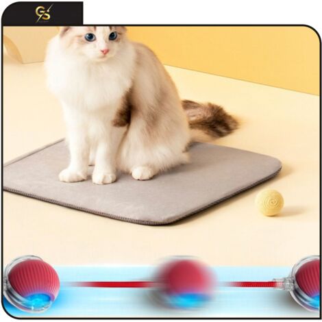 KATZENSPIELZEUG - GLORIOUS BALL - SCHNUR ZUM VERFOLGEN UND JAGEN