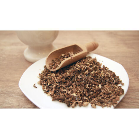 Bertram Römische Wurzel geschnittene Stücke Anacyclus Pyrethrum 1 Kg