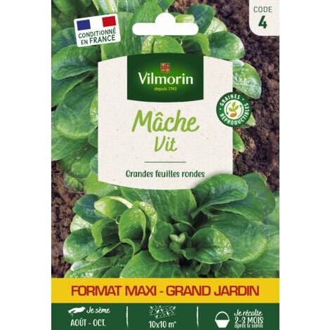 Mâche Vit - Grand Modèle Vilmorin