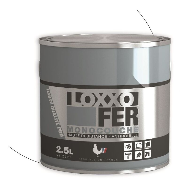 Loxxo Peinture Fer Antirouille - Monocouche - Haute Résistance ...