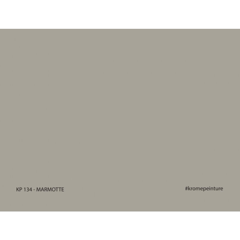 Echantillon de Peinture Repositionnable Stick'N'Test Evasion by Krome ...