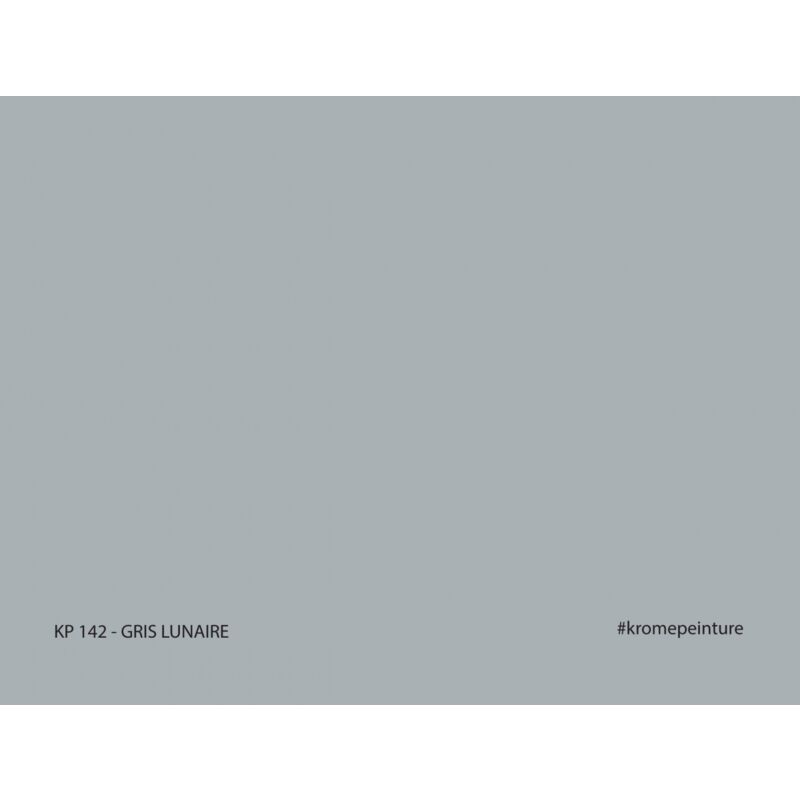 Echantillon de Peinture Repositionnable Stick'N'Test Evasion by Krome ...