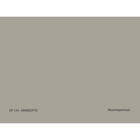 Echantillon de Peinture Repositionnable Stick'N'Test Evasion by Krome ...